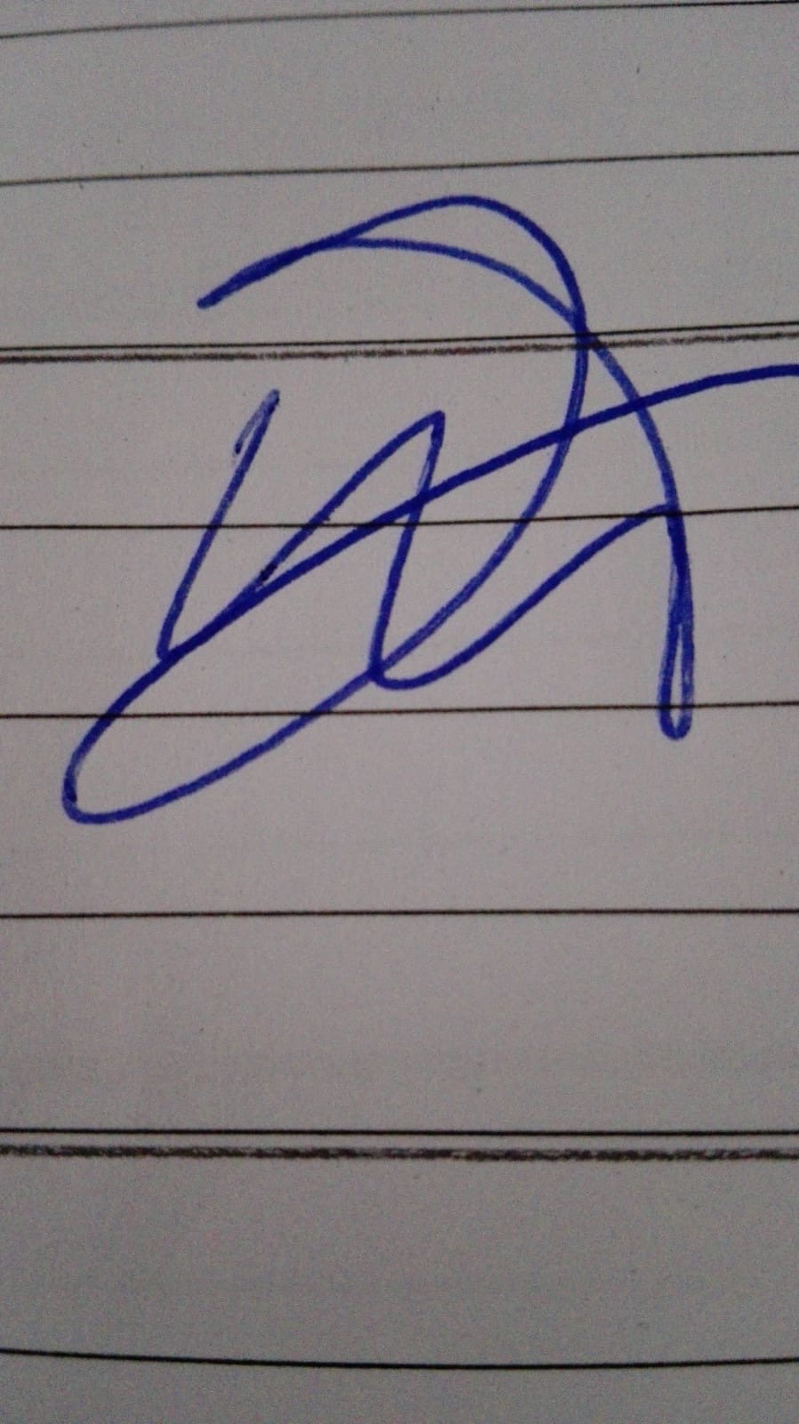 Creativity: Doodles and Scribbles – Susy Rogers